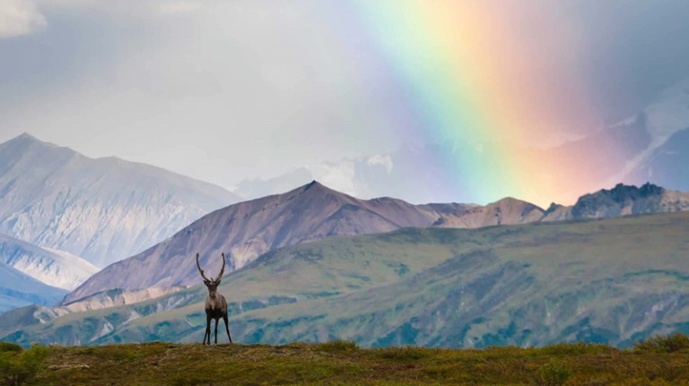 Gold Fields sees smooth pathway for Windfall project - Miningmx