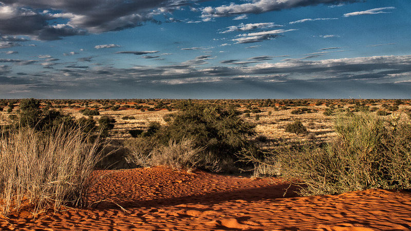 Petra Diamonds to sell Botswana exploration portfolio for $300k - Miningmx