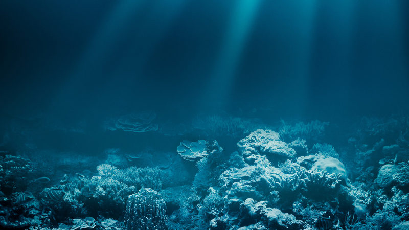 Deep sea mining may threaten $5.5bn tuna industry, says study - Miningmx