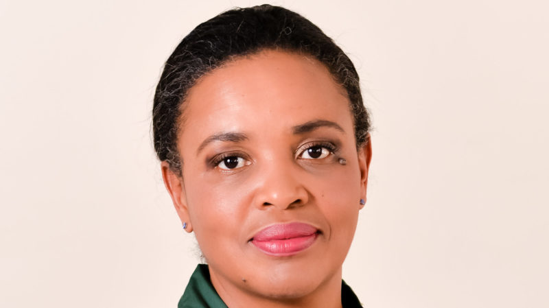 Transnet says private sector will help fund new mega-terminal at ...