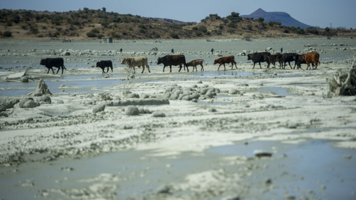 In Pictures: How the Jagersfontein tailings dam collapse devastated a ...
