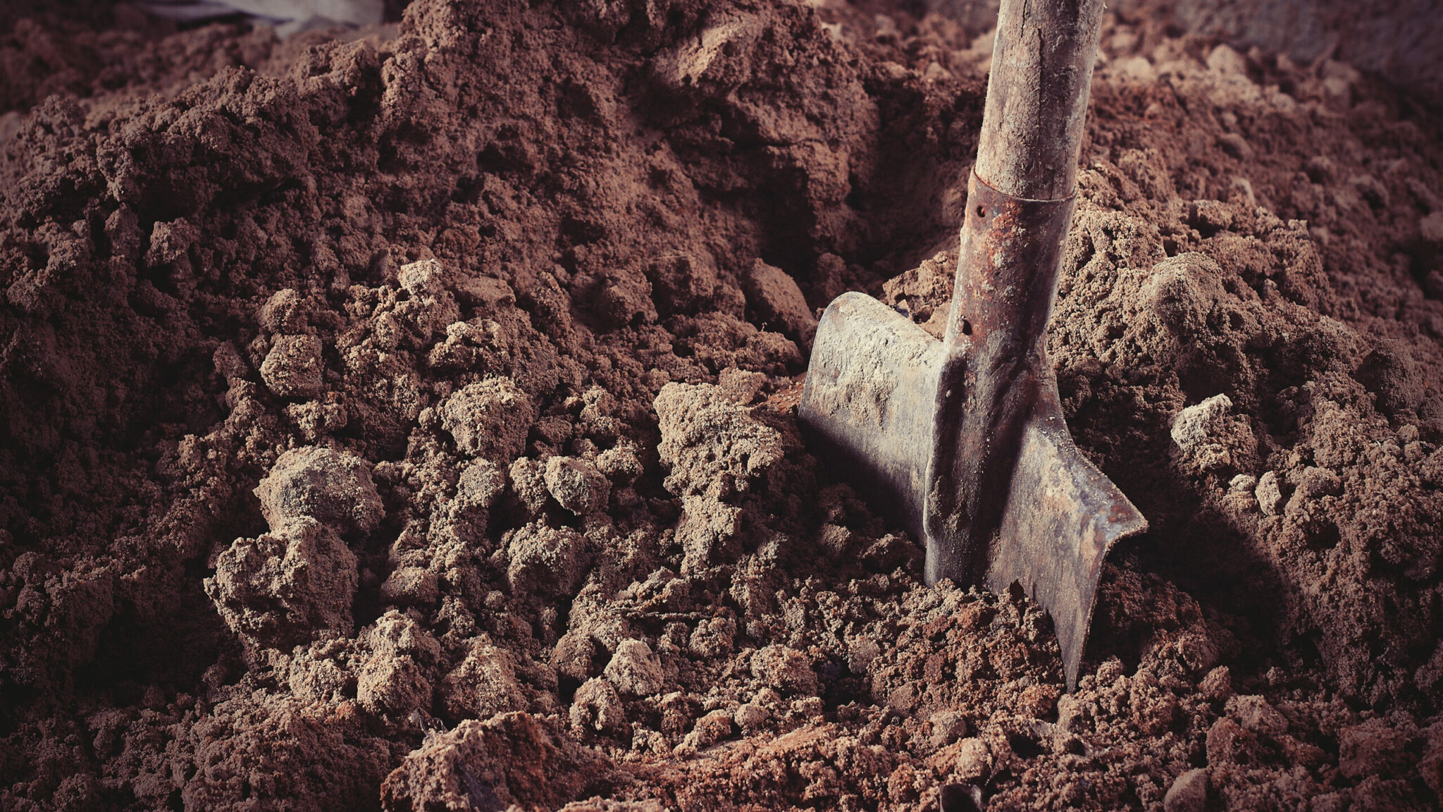 Assore buys R900m stake in first non-African copper prospect - Miningmx