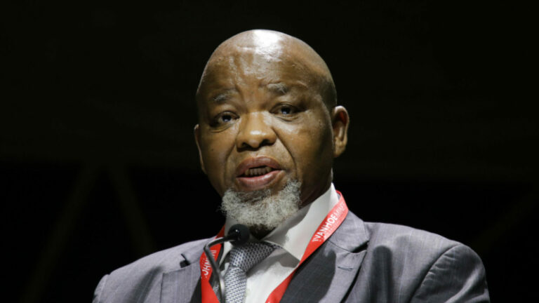 Comrade Gwede, BEE isn't worth the scrap paper it was written on - Miningmx