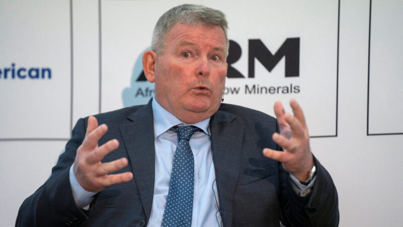 Northam Platinum to prosper as CEO forecasts hard slog - Miningmx